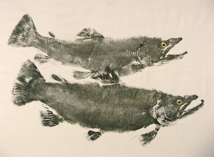 The Tale of the Singara Fish (Assam) - Centre for Contemporary Folklore ...